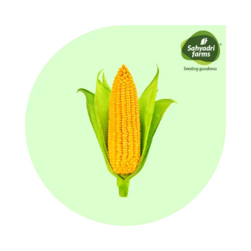Core Crops | Sahyadri Farms