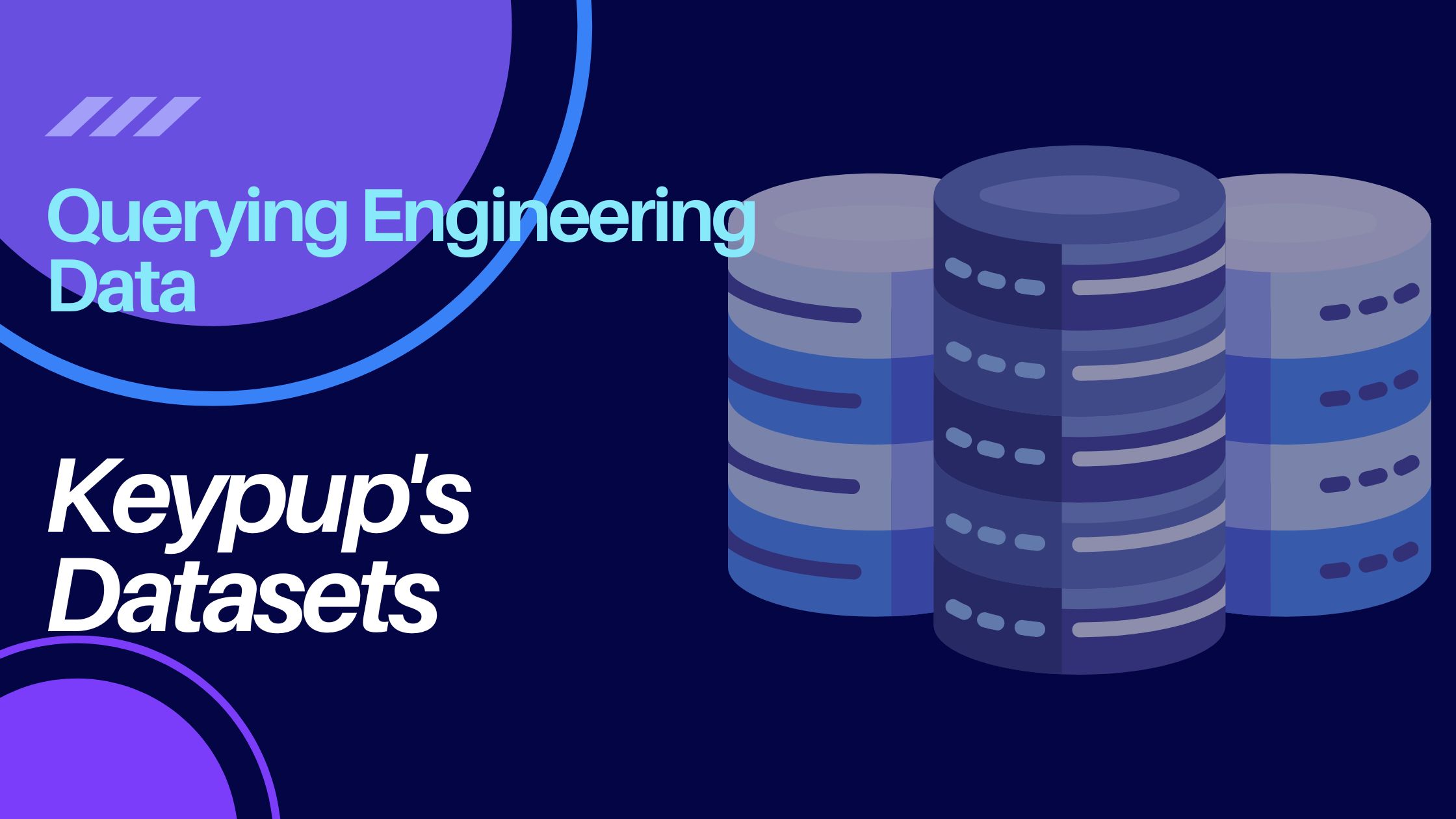 Leverage Software Engineering Datasets | Keypup