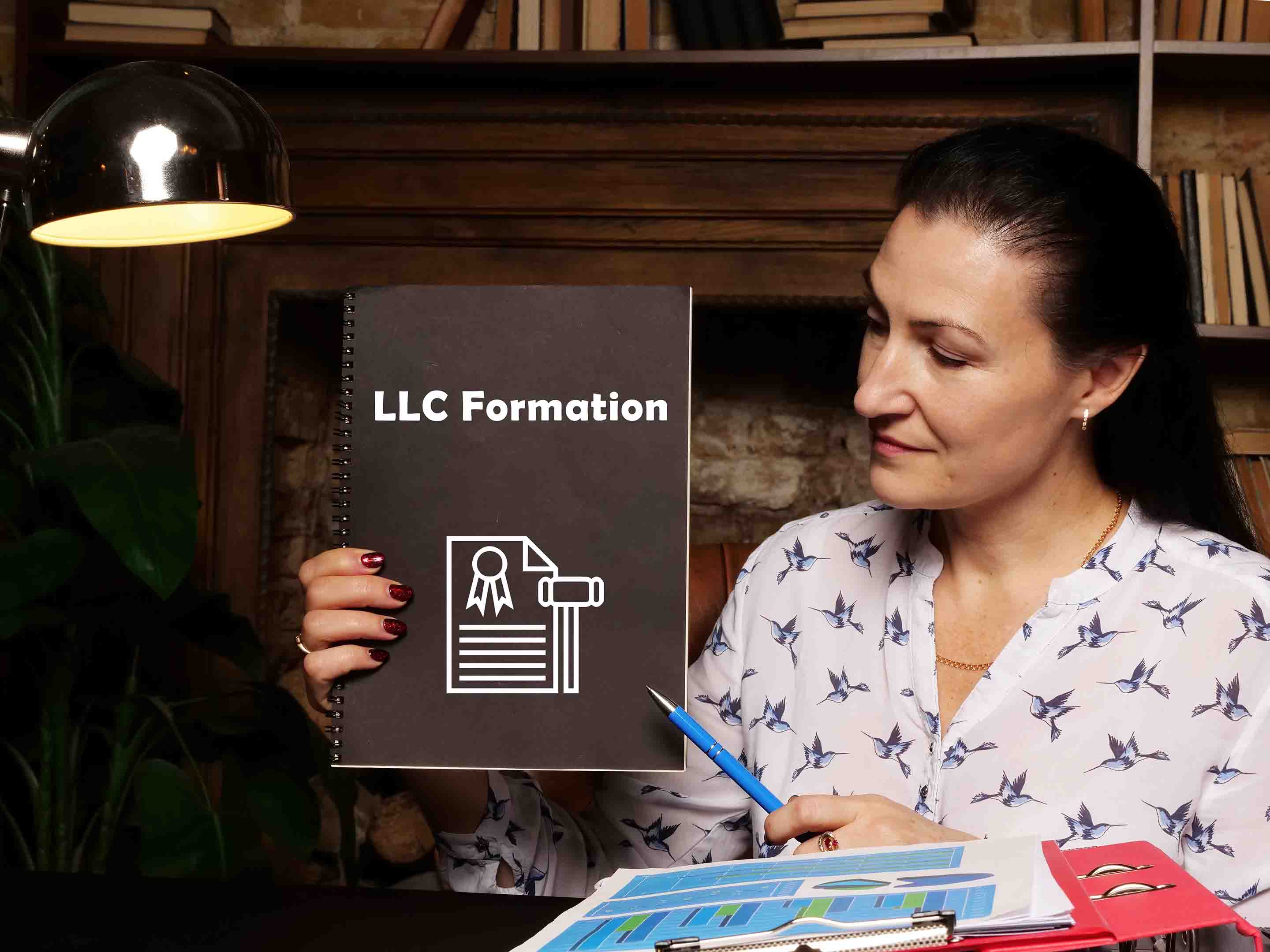 What is an LLC and how does it work?