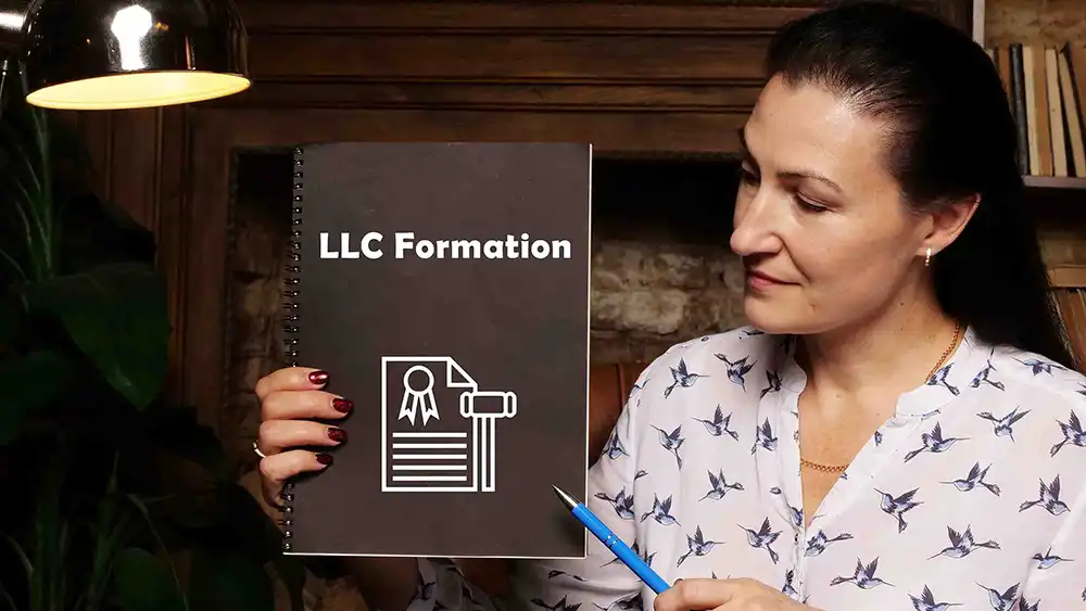 What is an LLC and how does it work?