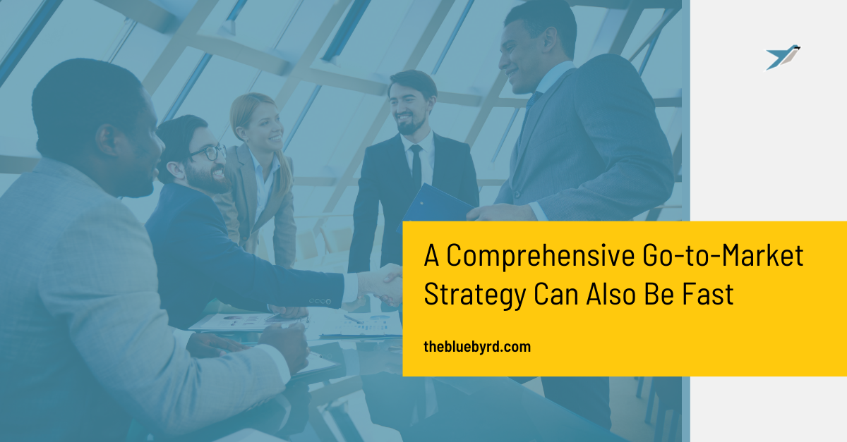 A Comprehensive Go-to-Market Strategy can Also be Fast | BlueByrd