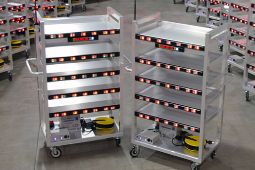 Pick to Cart - Batch Picking Systems Design