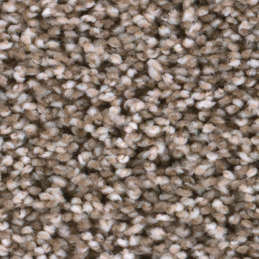 Tantalizing Soft Tan | Carpet | Molyneaux Home