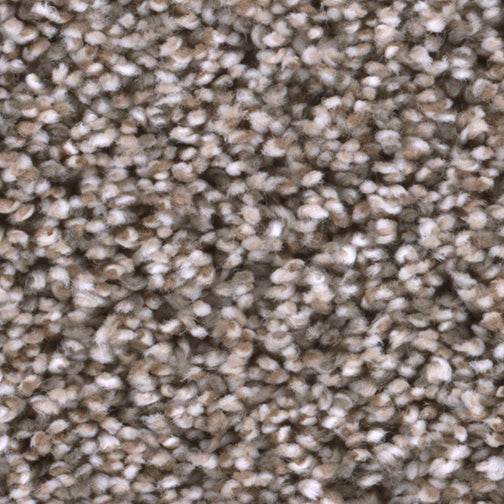 Tantalizing Sageview | Carpet | Molyneaux Home