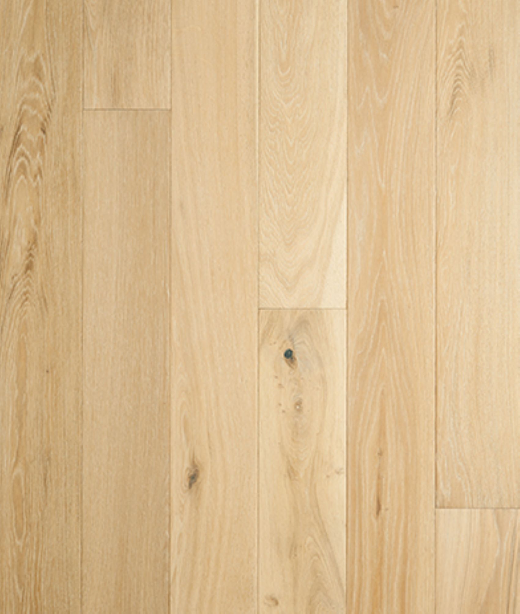 Foresta Durham - Ebenezer | Hardwood Flooring | Molyneaux Home