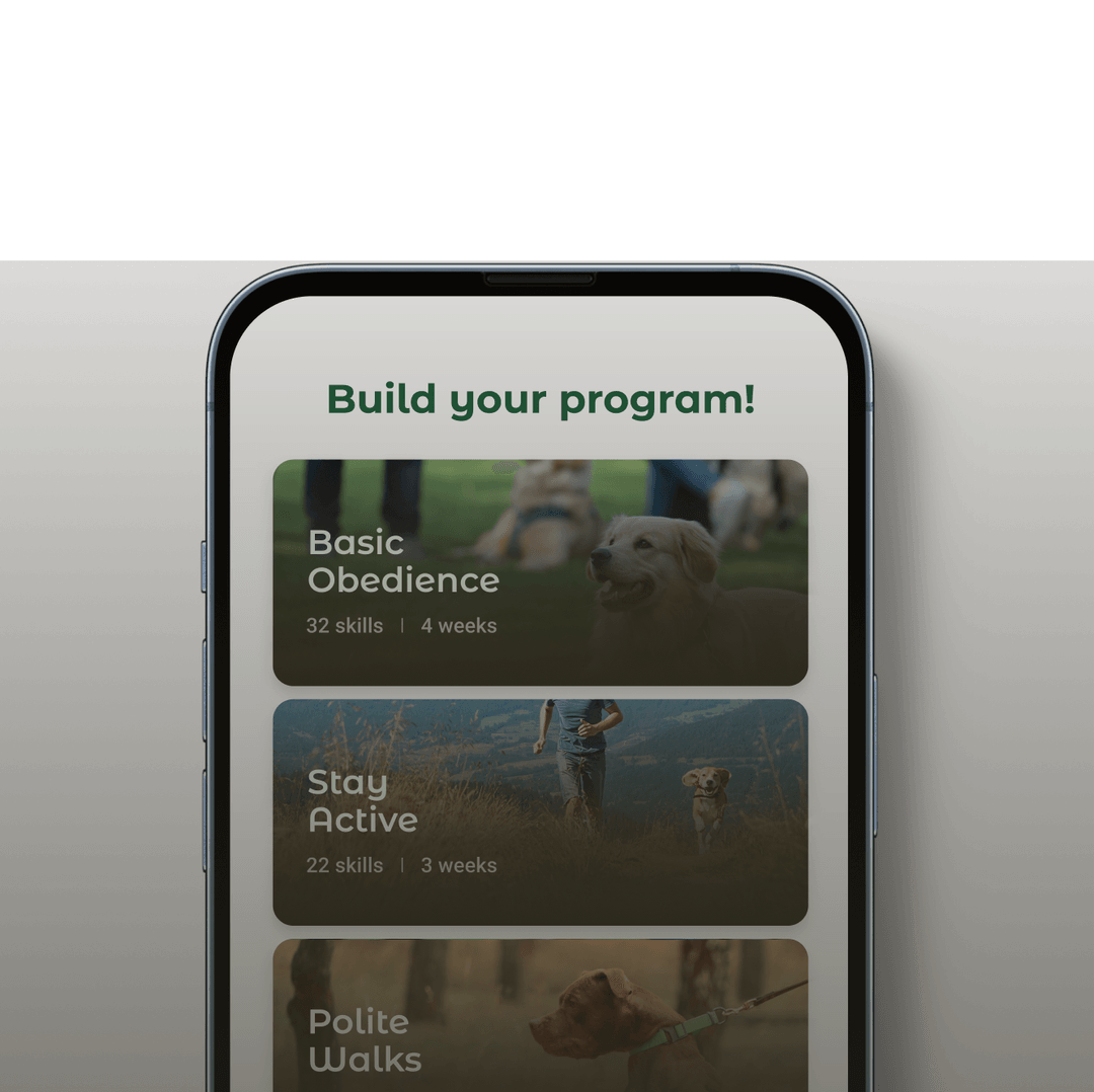 Get Dogo app