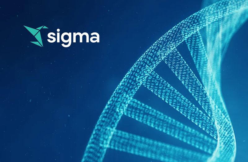 Sigma | Case Study | Sparkpr