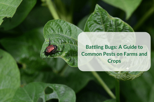 FarmRaise - Farm Management Simplified