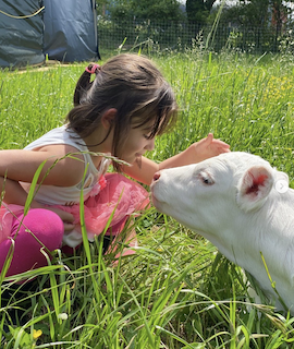 FarmRaise Testimonials