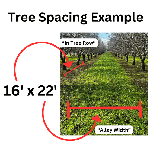 Tree Spacing Example