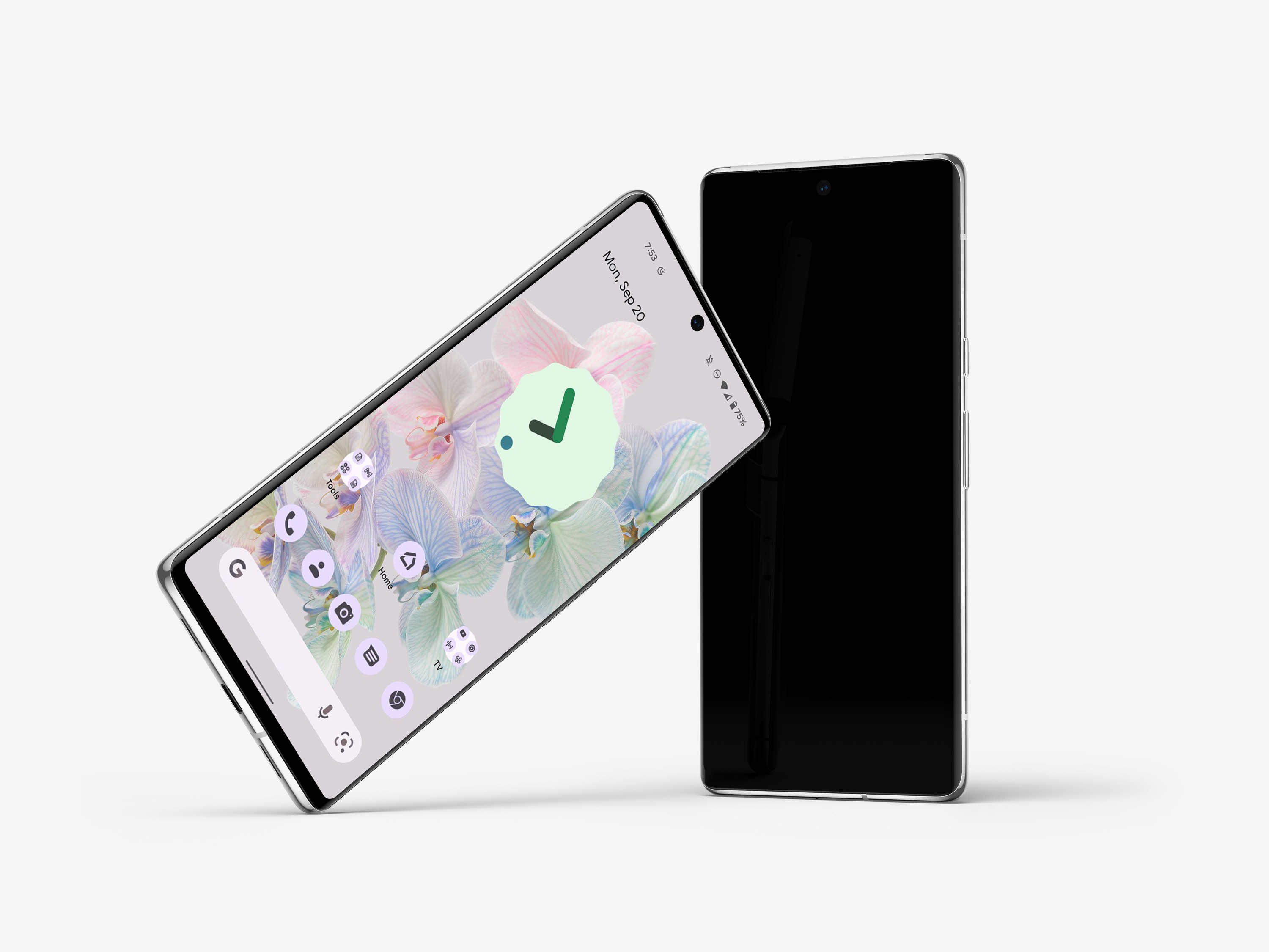 Google Pixel 6 Pro Mockups