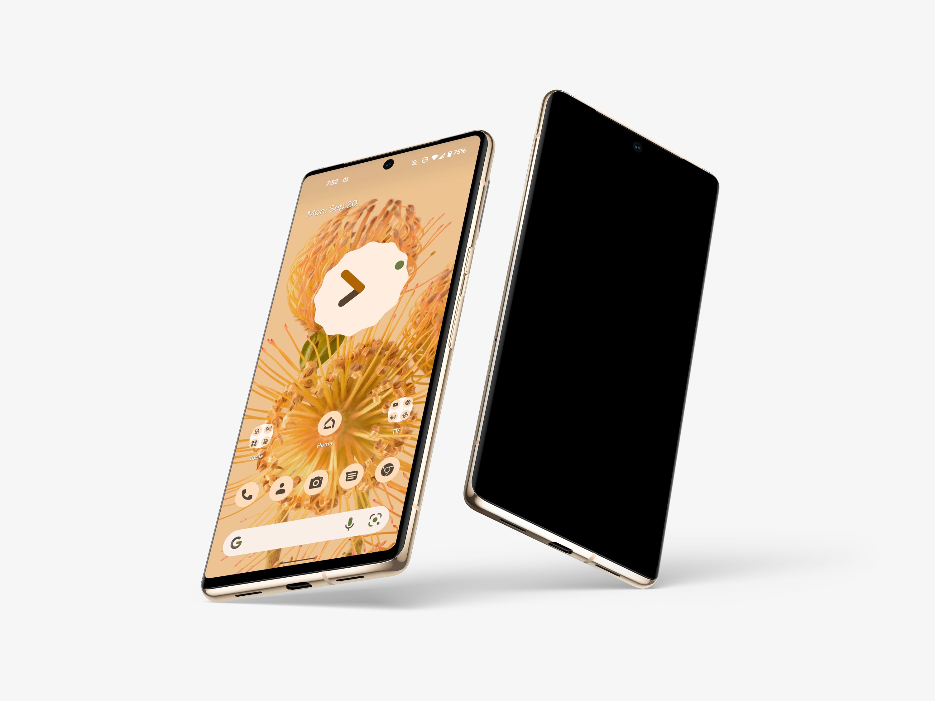 Google Pixel 6 Pro Mockups