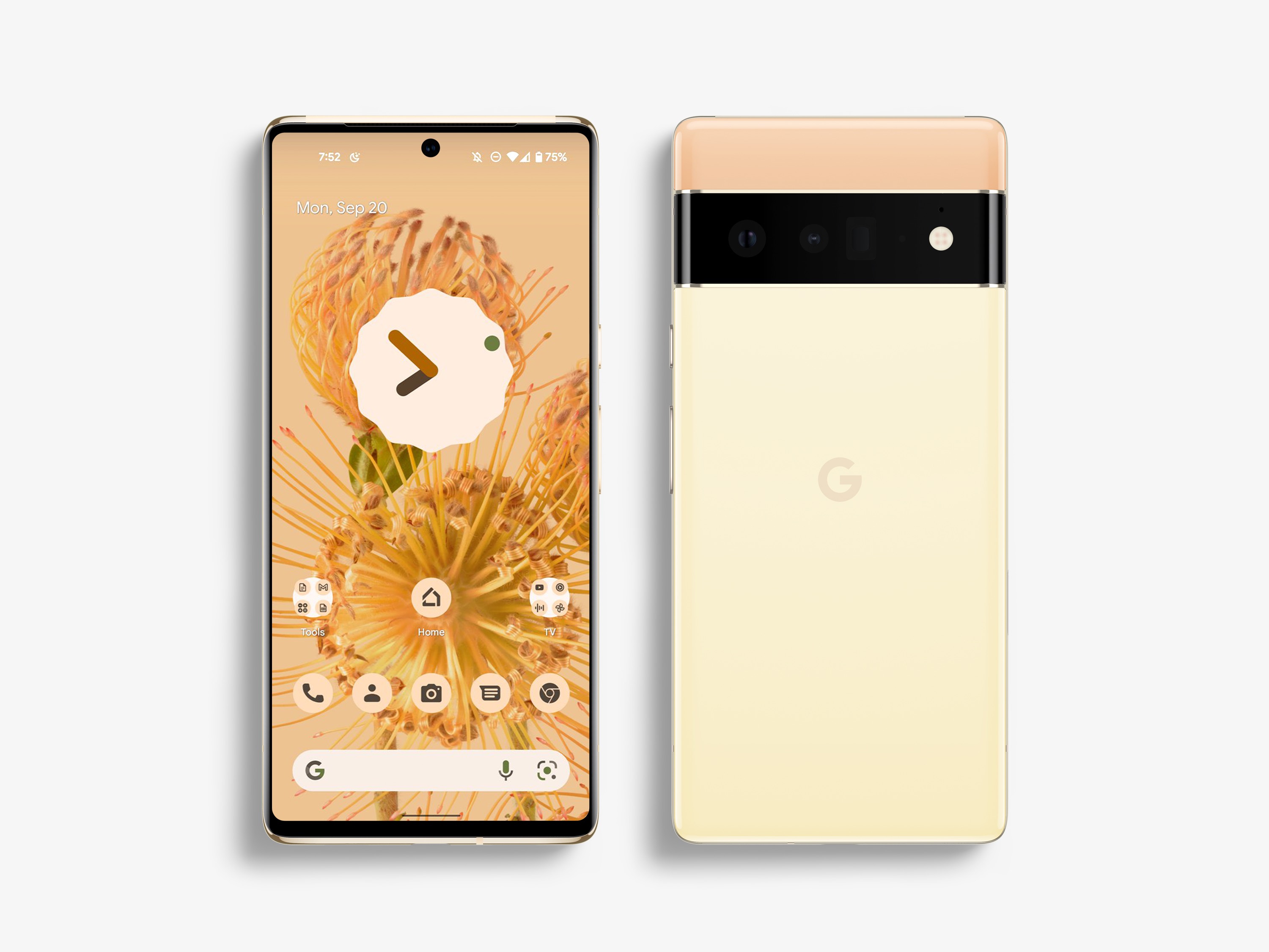 Google Pixel 6 Pro Mockups