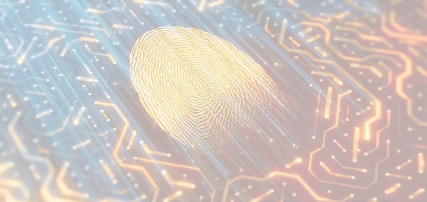 How to get EIDAS certificate