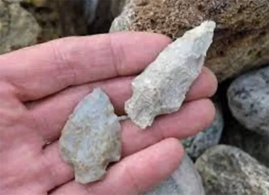 Activities - Free Activities