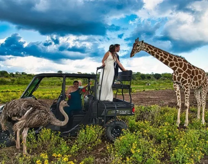 Home - Y.O Ranch Headquarters