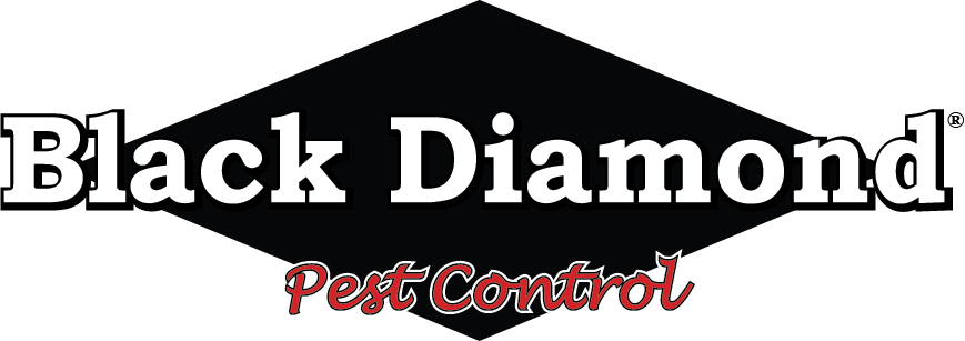 Pest Control | Exterminator | Termite Treatment - Black Diamond Pest ...