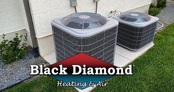 Pest Control | Exterminator | Termite Treatment - Black Diamond Pest ...