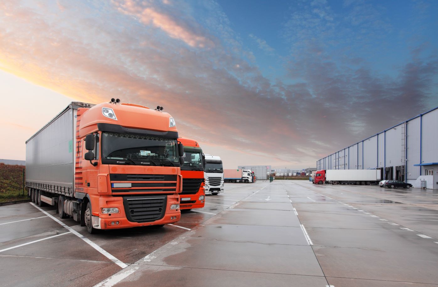 Improve Your Transport Company's Efficiency with These Tips for ...