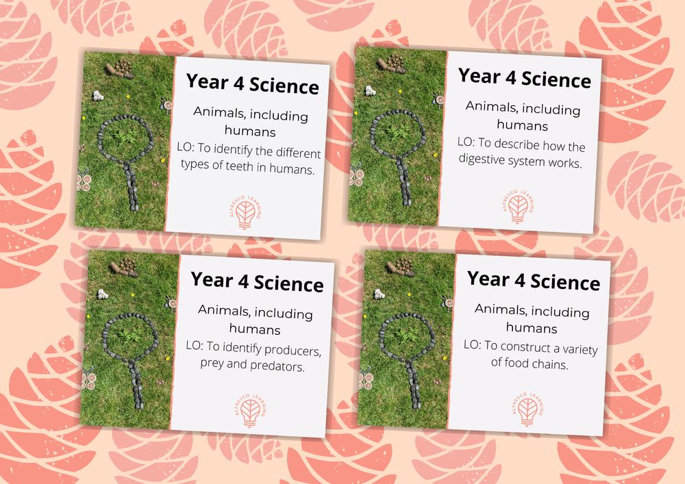 Taking Year 4 - Animals, including humans Outdoors