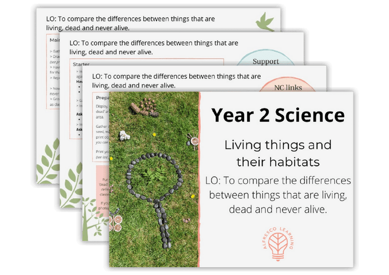 Taking Year 2 - Living things and their habitats Outdoors