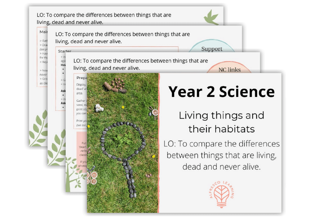 Taking Year 2 - Living things and their habitats Outdoors