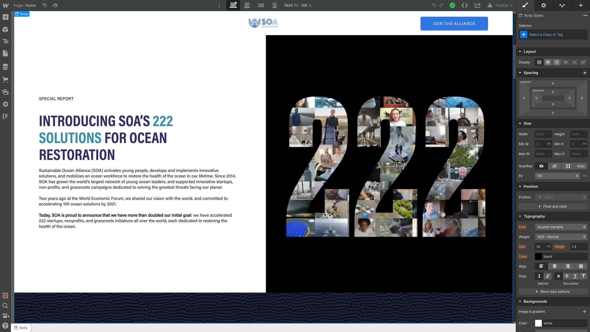 3SIX5 Digital Case Study For Sustainable Ocean Alliance