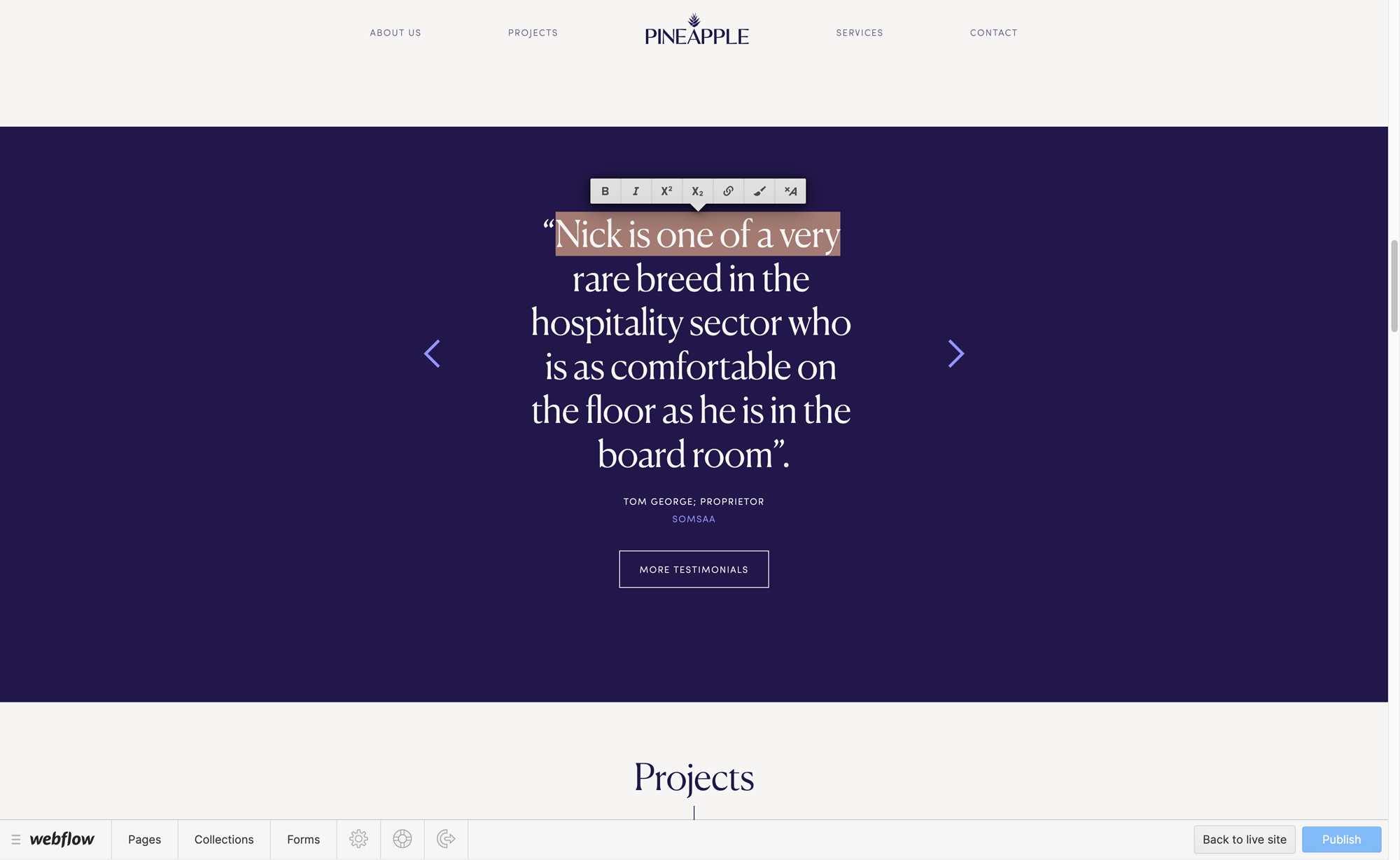 3SIX5 Digital Case Study For Pineapple Group