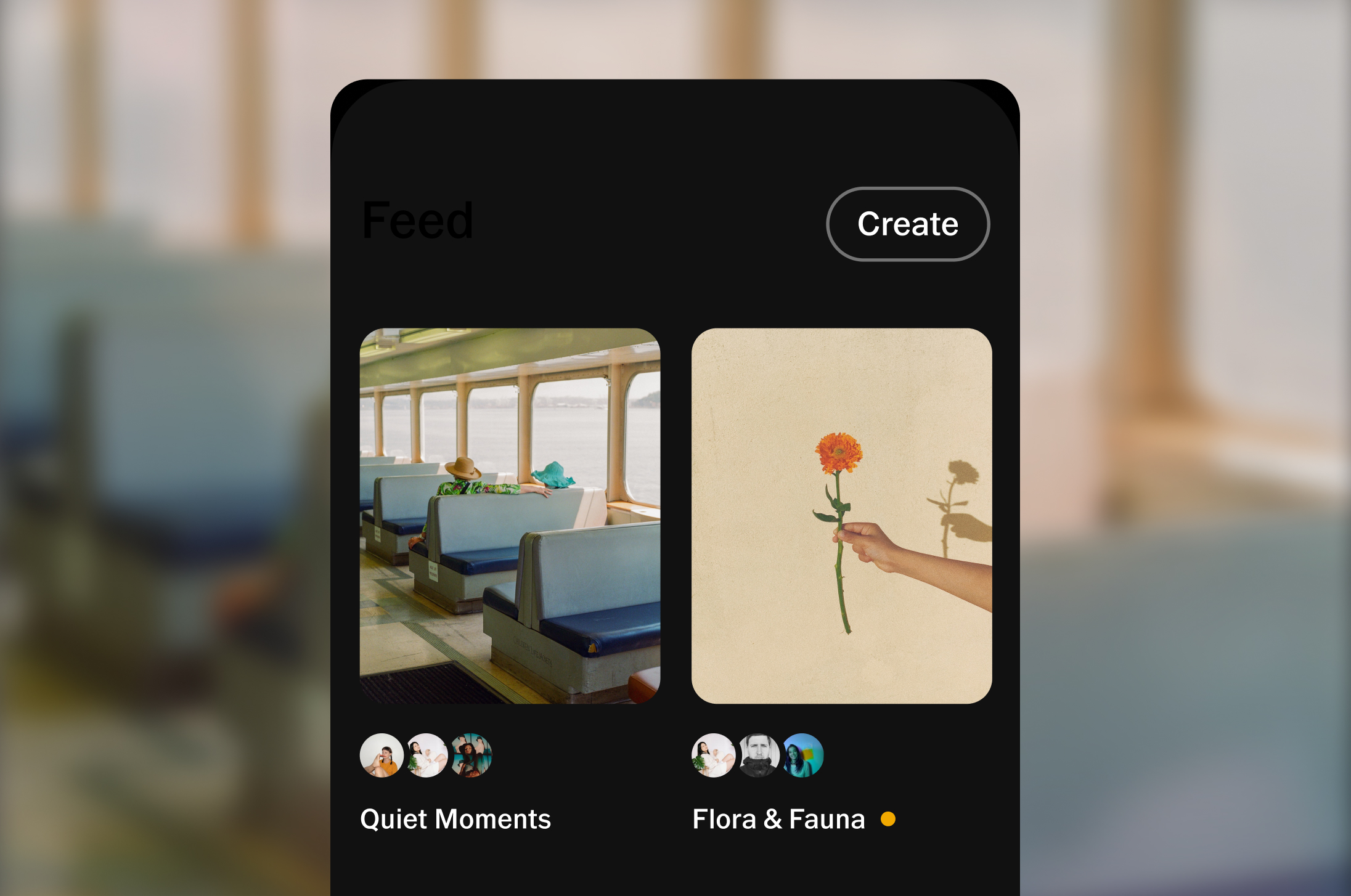 Spaces - Shared Galleries & Creative Community | VSCO