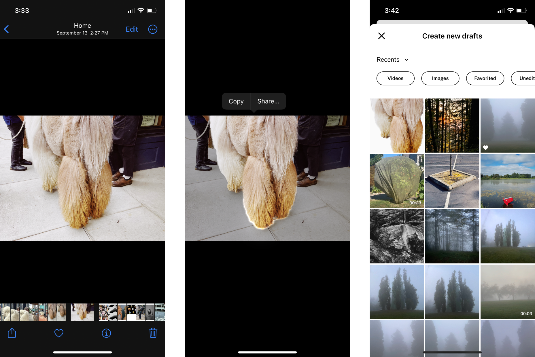 Creating VSCO collages with iOS 16 | VSCO Stories