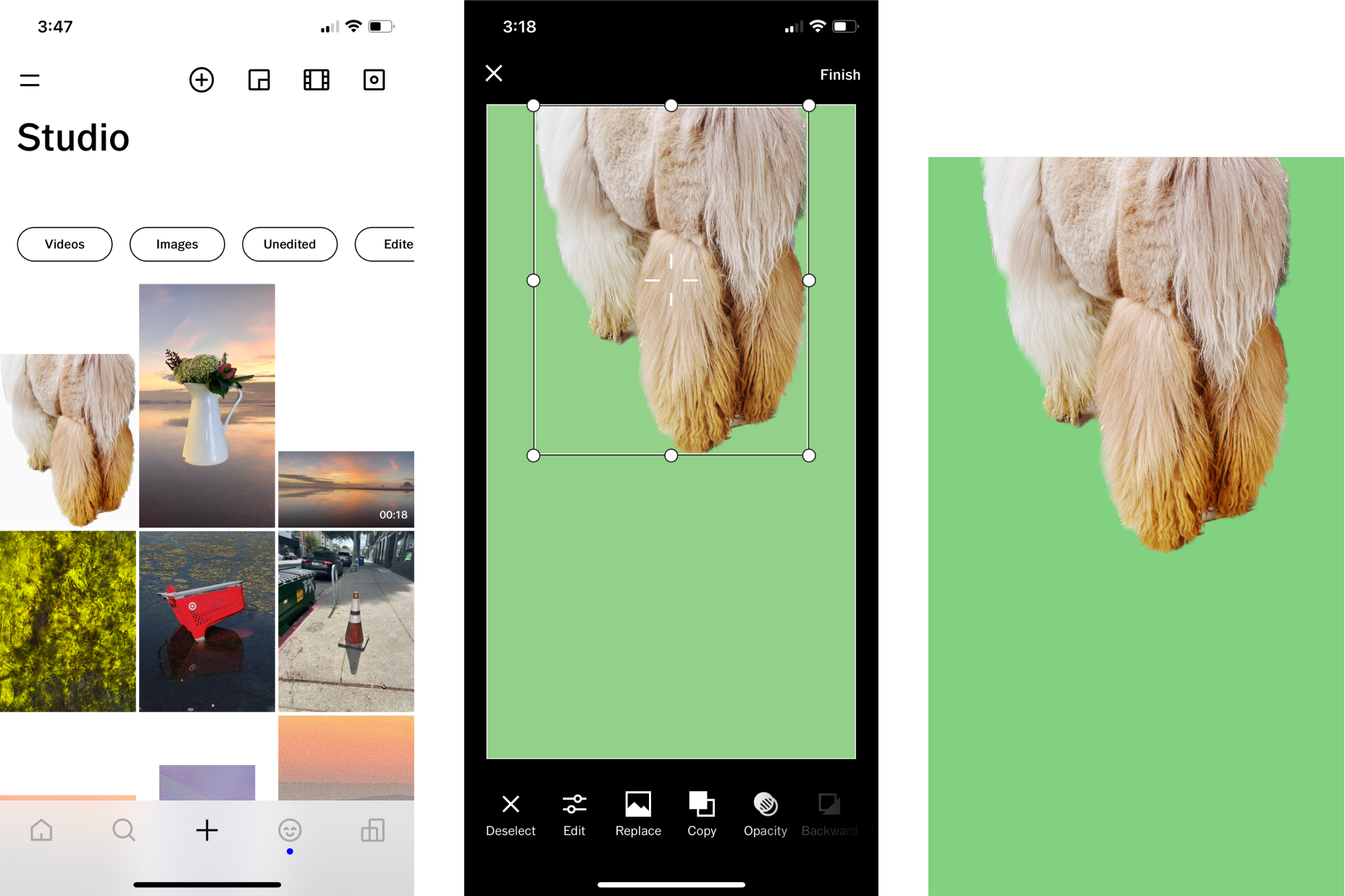 Creating VSCO collages with iOS 16 | VSCO Stories