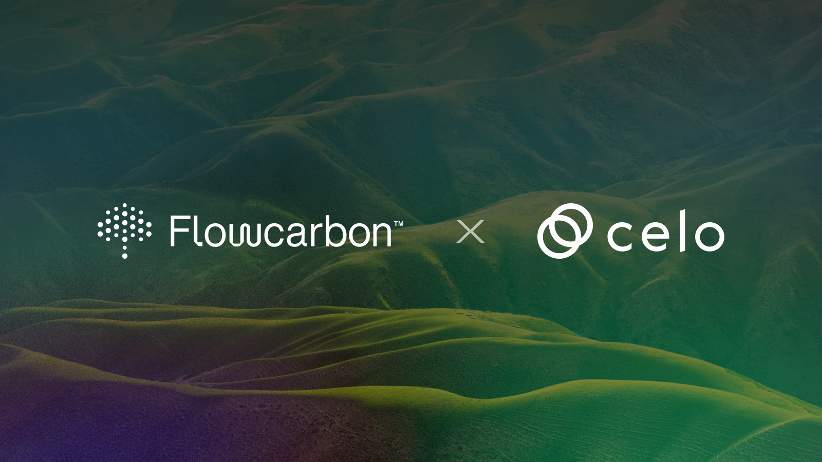 Flowcarbon Partners with First Carbon-Negative Blockchain Celo to ...