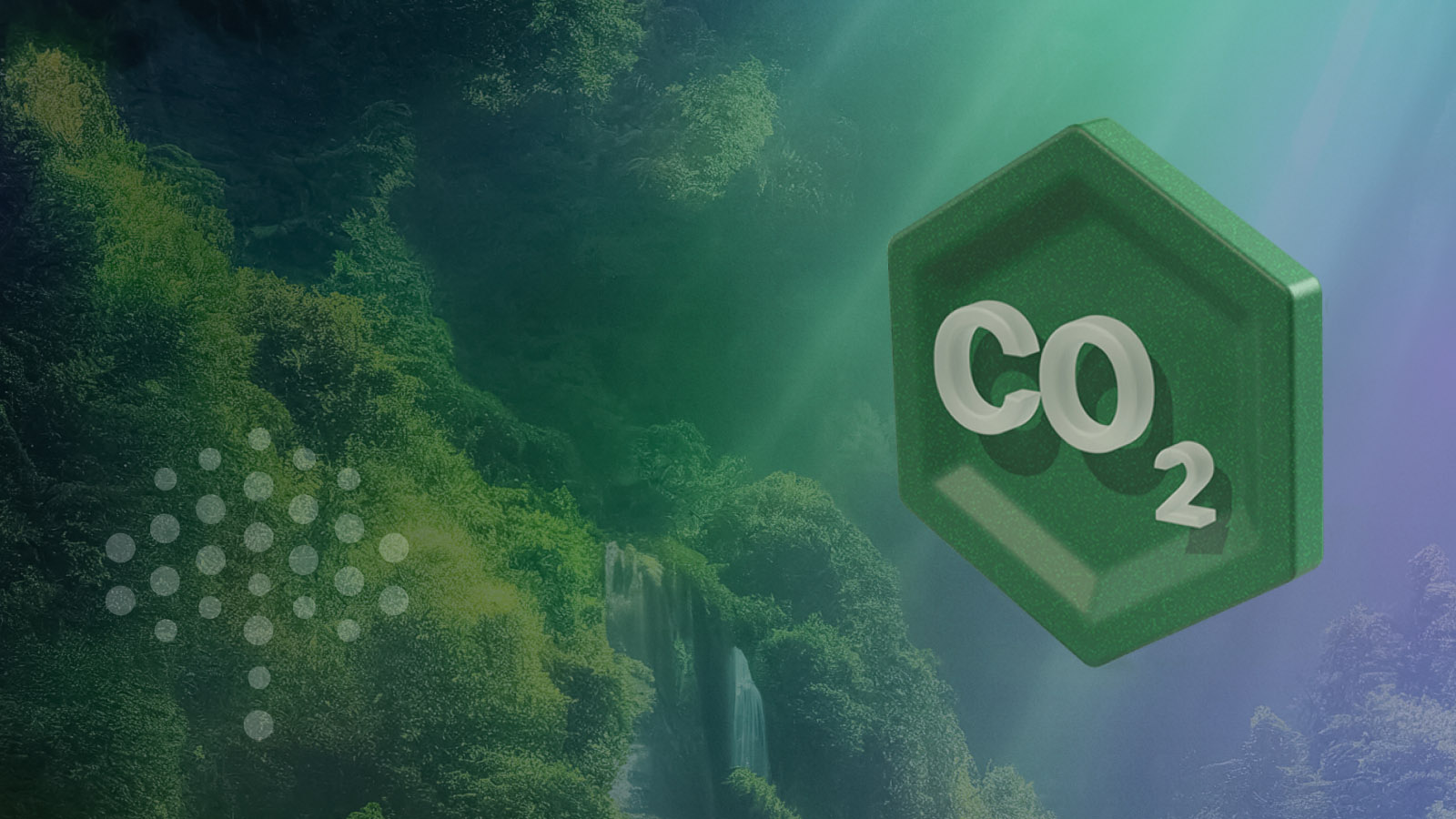 An Introduction to Carbon Credits