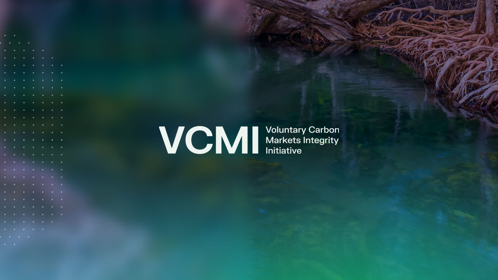 Is This the VCMI Claims Code We’ve All Been Waiting For?