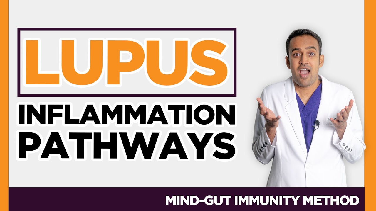 [3 Types of Inflammation] Lupus, Autoimmune SLE Rheumatologist Doctor ...