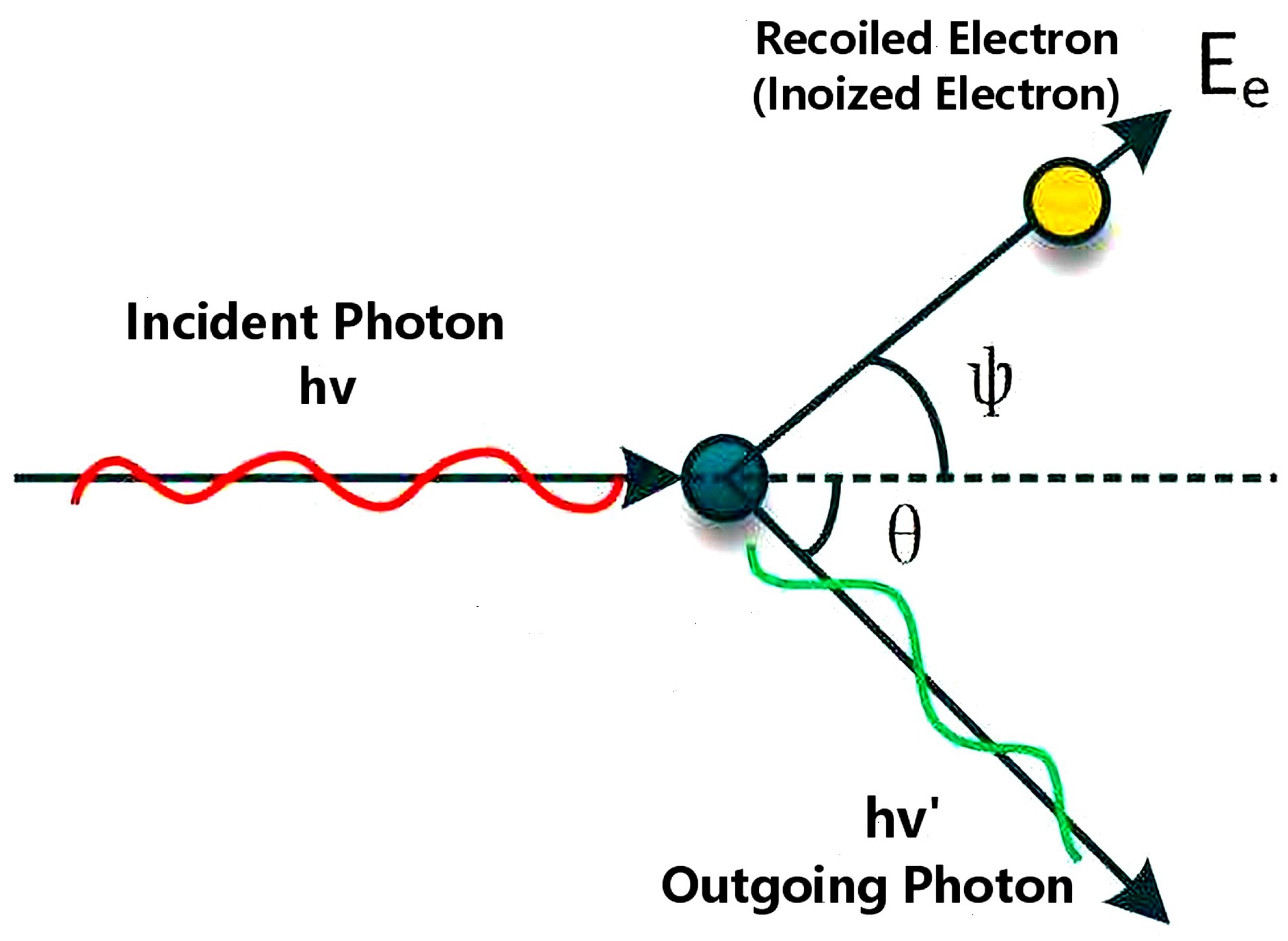 X Rays Waves Diagram