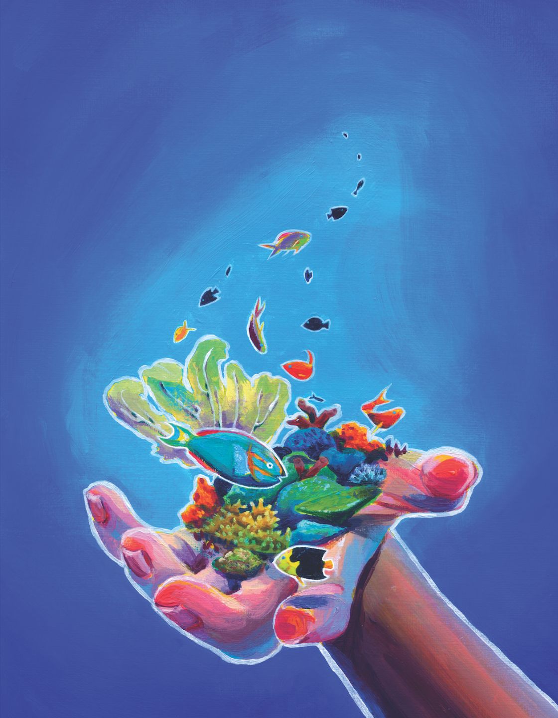 The Barbados Blue Economy