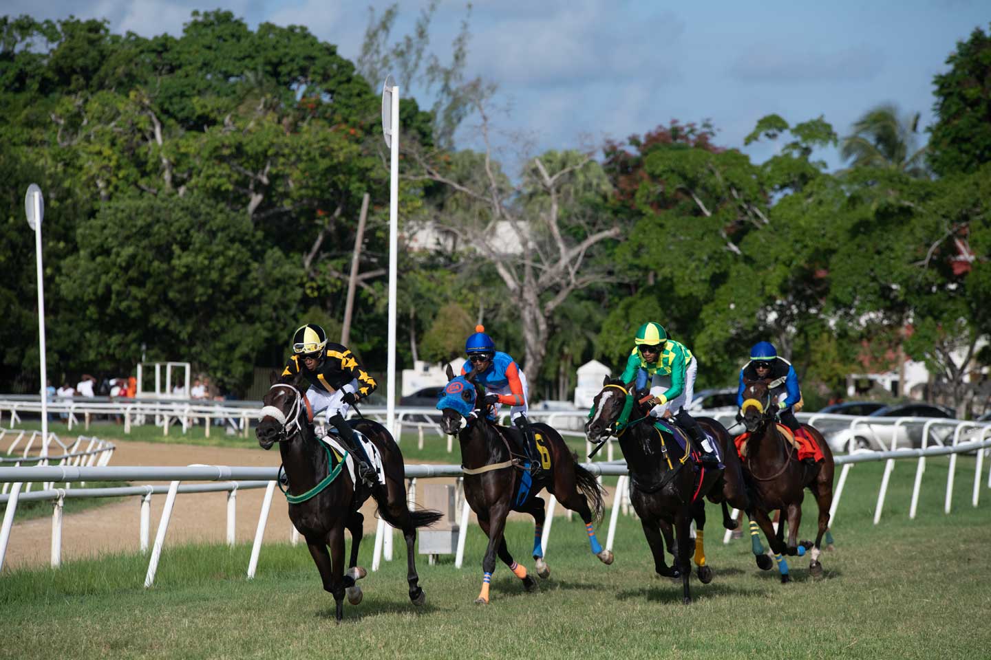 Race Day Fixtures January | Business Barbados Events 2024