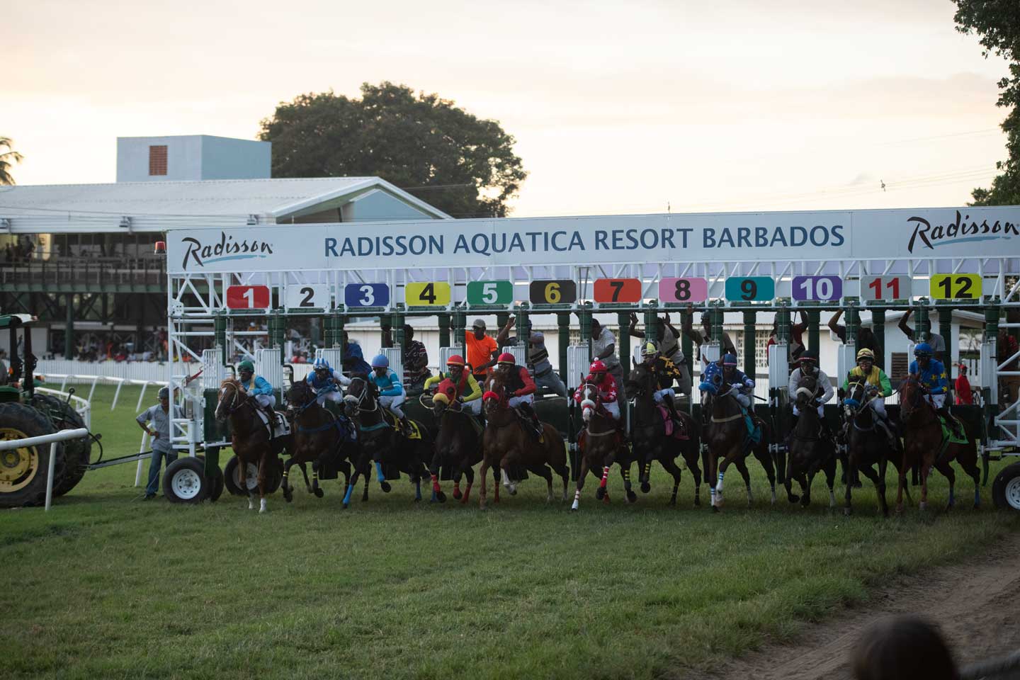 Race Day Fixtures August | Business Barbados Events 2024
