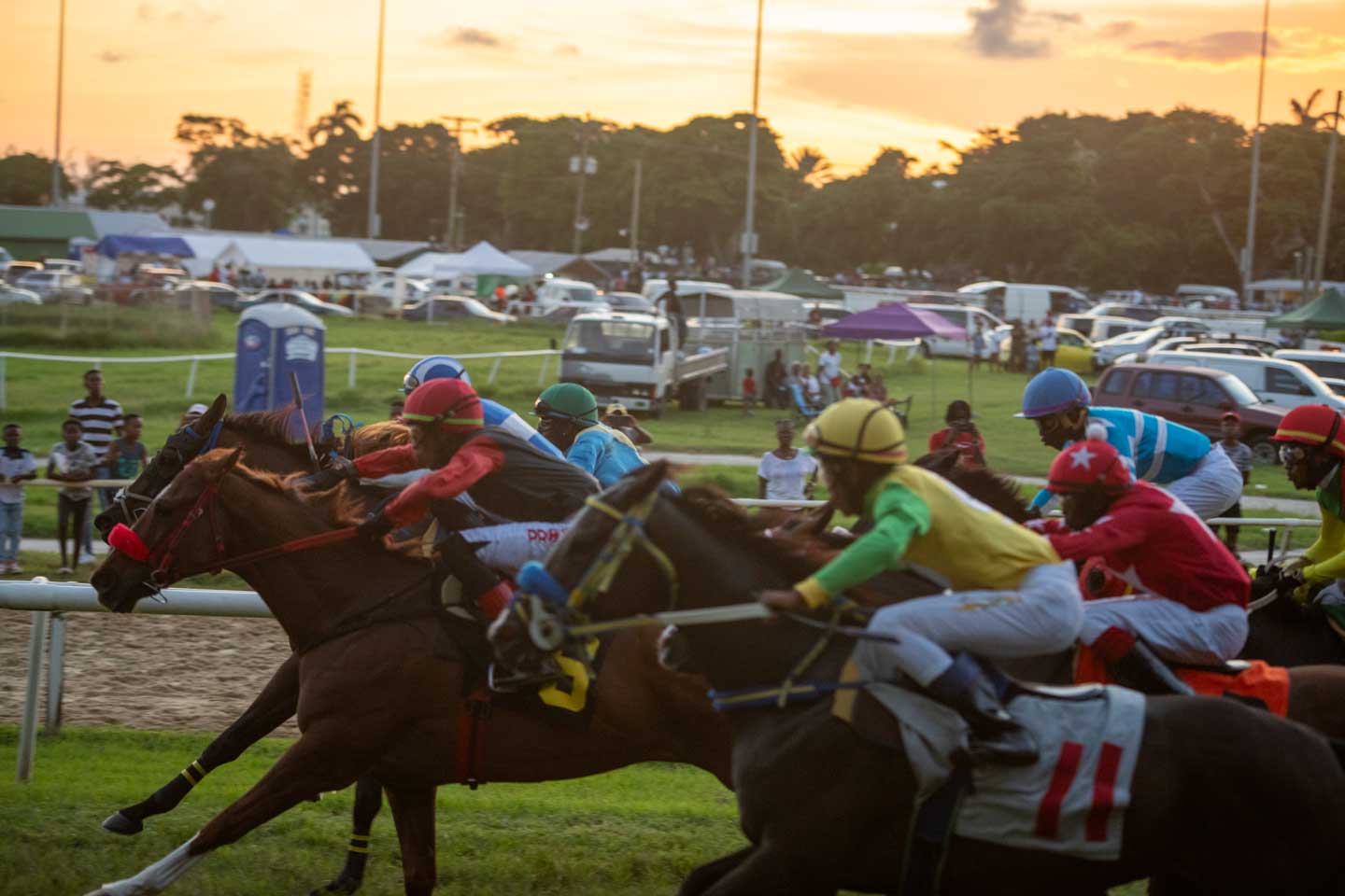 Race Day Fixtures November | Business Barbados Events 2024