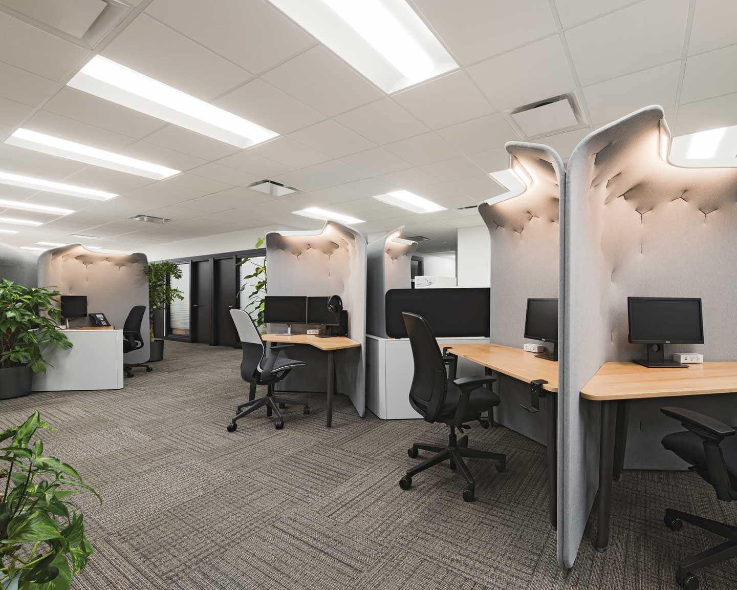 Workspace Transformations Reveal Golden Opportunities
