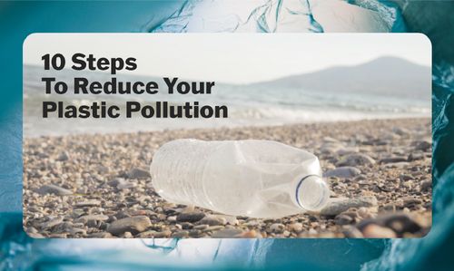 Walking Softer | Home