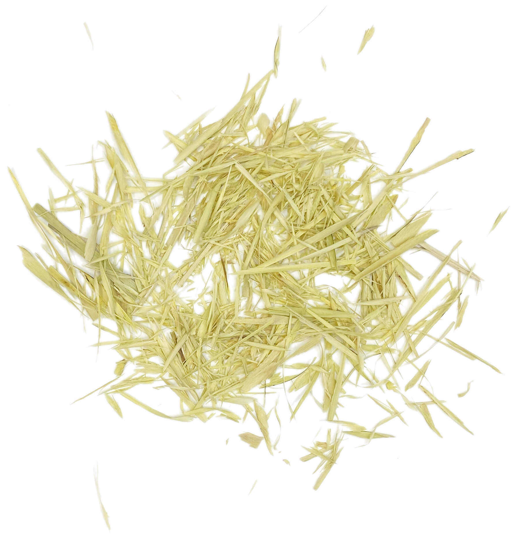 Plantd | Carbon Negative Building Materials