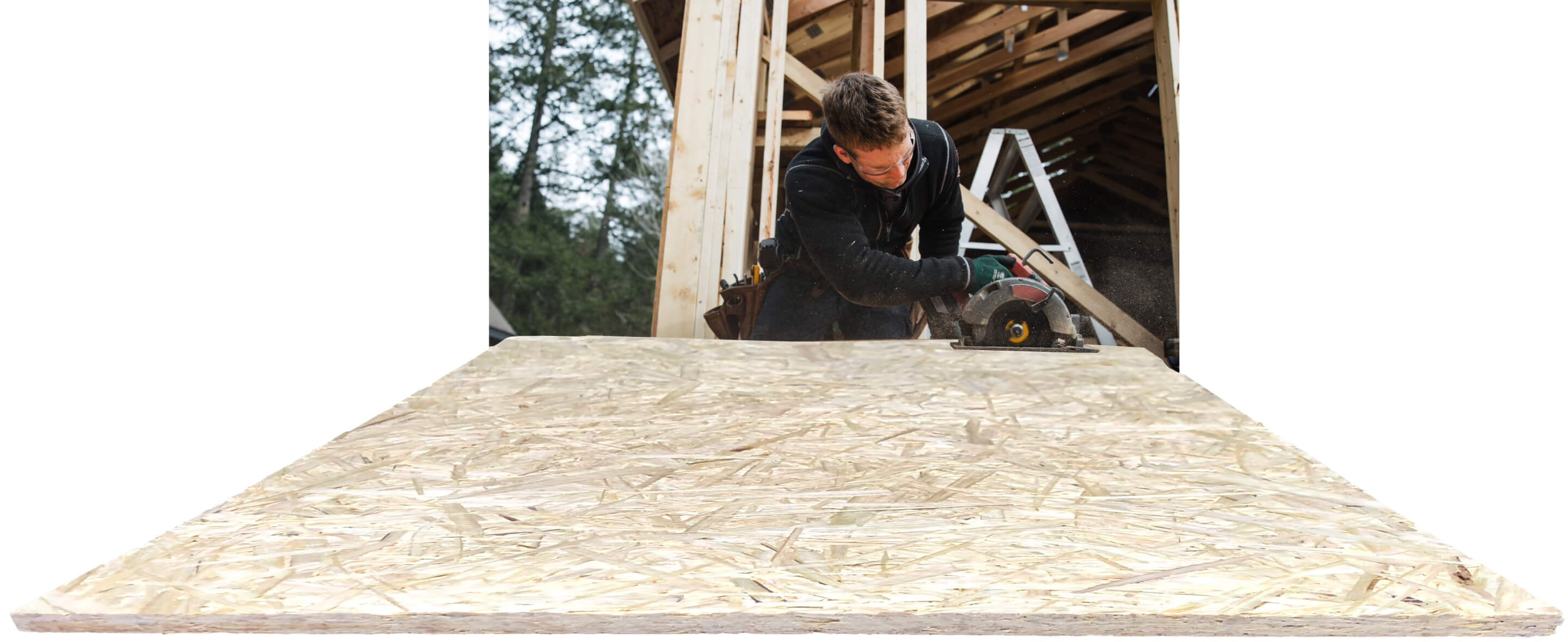 Plantd | Carbon Negative Building Materials