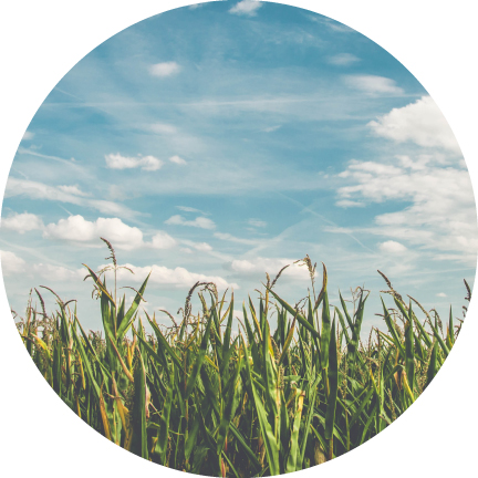 Plantd | Carbon Negative Building Materials