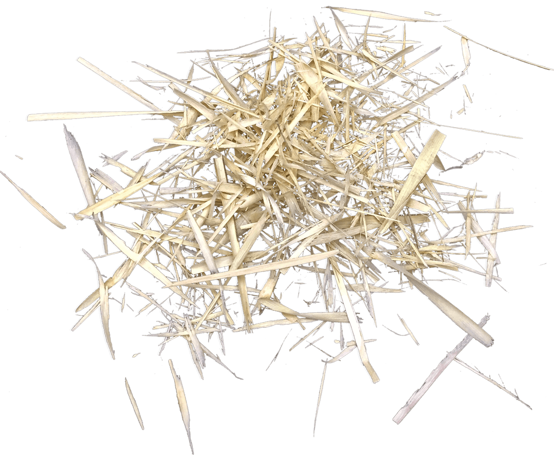 Plantd | Carbon Negative Building Materials