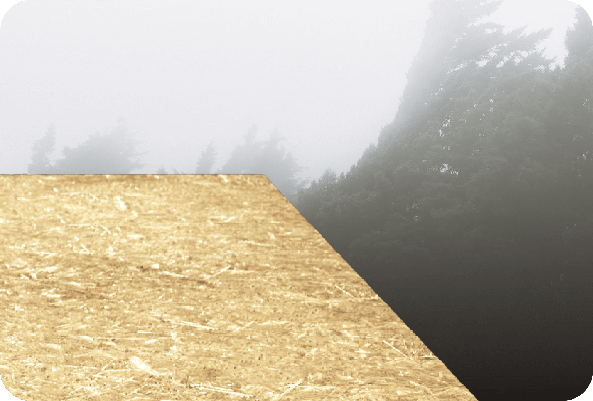 Product | Plantd Materials