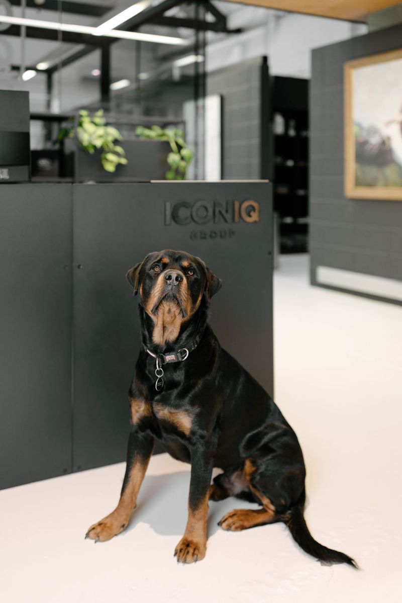 Iconiq Group - Our Team