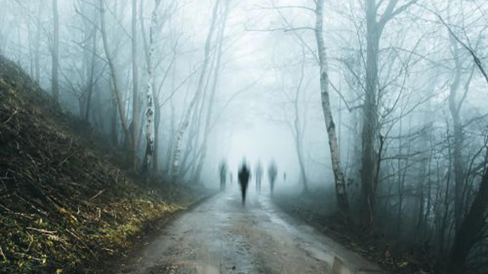 Vulnerability Checks of Exchange ProxyShell (CVE-2021-34473) | Cybersecurity Blog | GreyNoise