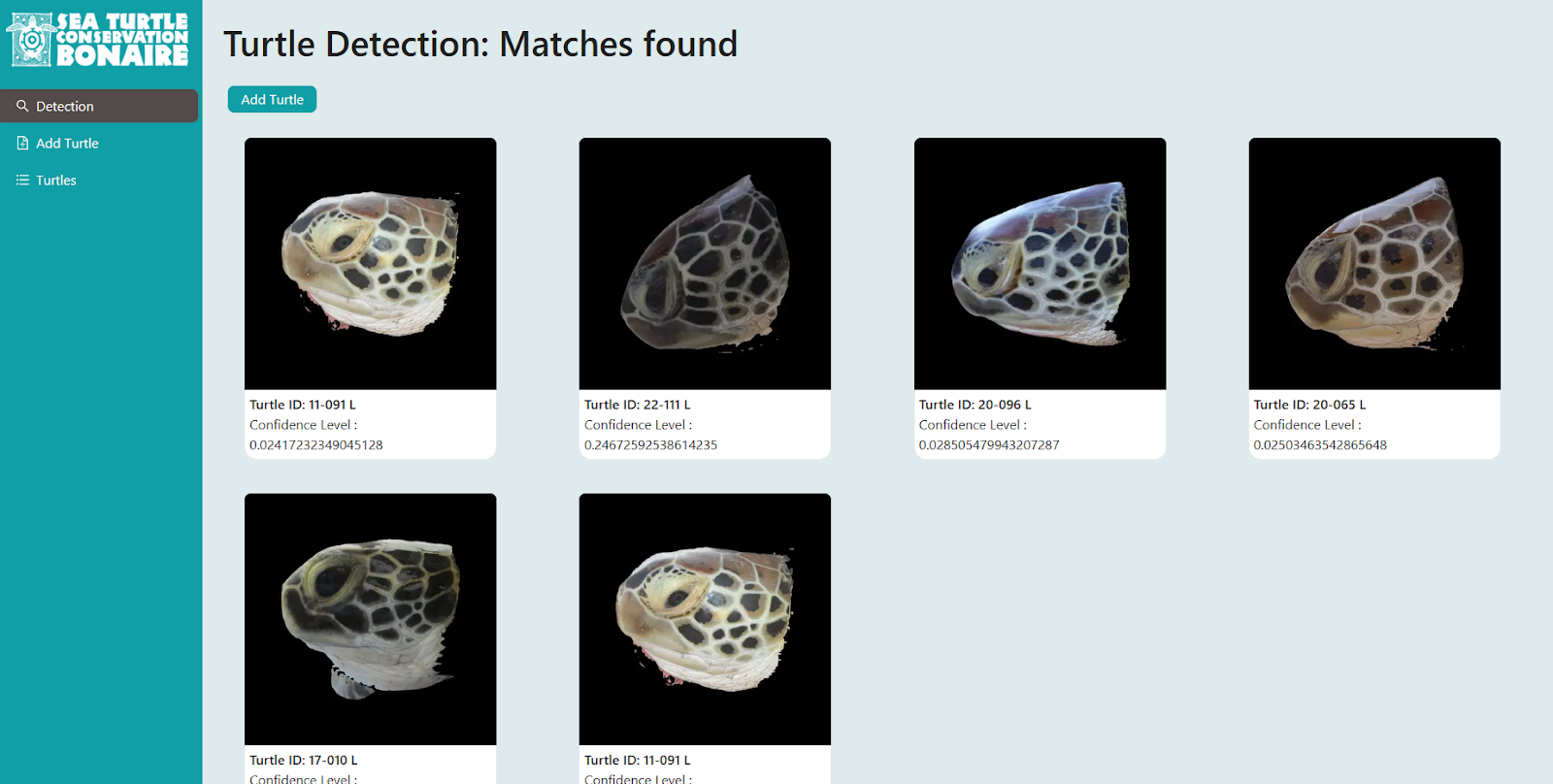 Tracking Turtles: How AI helps conservationists to re-identify sea turtles